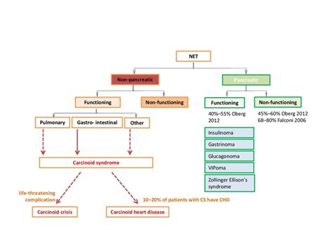 Neuroendocrine Tumors Overview Of Treatment Online Presentation