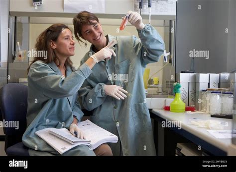 Teamwork In The Cell Culture Laboratory Laboratory Fundación Inbiomed
