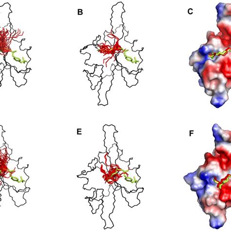 the src sh2 domain complexed with pyeei a cartoon representation of