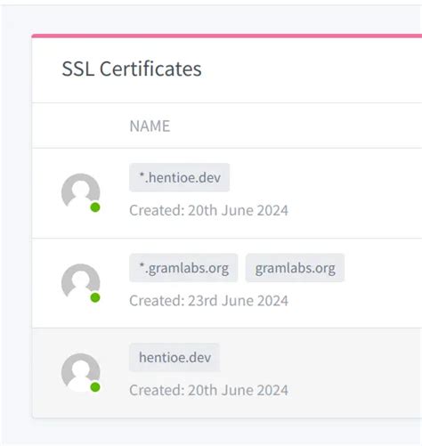 Nginx 代理配置批量管理（nginx Proxy Manager） 绅士喵