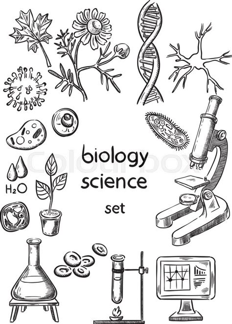 Science Drawing Science Drawing