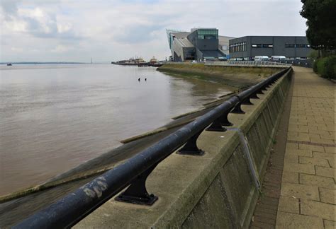 Vicky Dock Sudden Elegancies