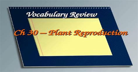 Ppt Vocabulary Review Ch 30 Plant Reproduction A Reproductive Structure That Produces Male Ppt Vocabulary Review Ch 30 Plant Reproduction A Reproductive Structure That Produces Male