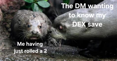 25 Dnd Memes To Prep Your Dice And Roast Your Dm