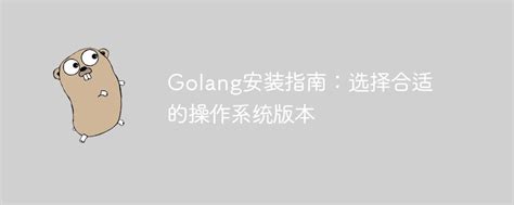 golang installation guide choosing the right operating system version