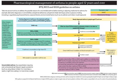 Management Of Asthma In People From 12 Years Btsnicesign Guideline Mims Online