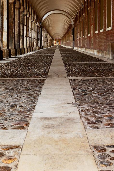 Elementos Morfológicos Karen Sanchez