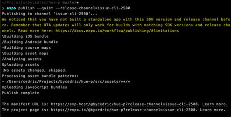 `expo Publish Quiet Xxxx` Doesnt Work · Issue 2500 · Expoexpo Cli · Github
