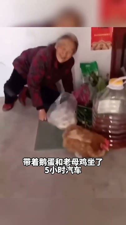 88岁奶奶给怀孕7个月孙媳妇送土特产 带着鹅蛋和老母鸡坐了5小时汽车 生活百態 暖心 幸福 Youtube