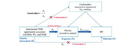 Instrumental Variable Iv Assumptions Of Mendelian Randomization Download Scientific