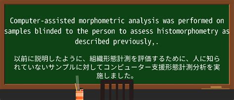 【英単語】histomorphometryを徹底解説！意味、使い方、例文、読み方 おもしろい英文法