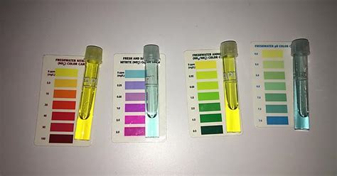 Tests Album On Imgur