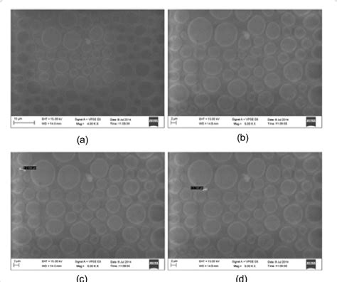 sem micrographs of optimized formulation kc3 with magnification of