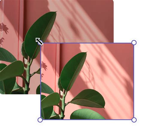 Resize JPEG Online Free JPEG Resizer Tool Resize JPEG Online Free JPEG Resizer Tool