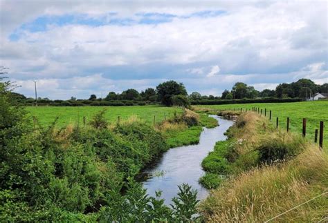 Irish Farmers Journal For The Latest Farming News In Ireland