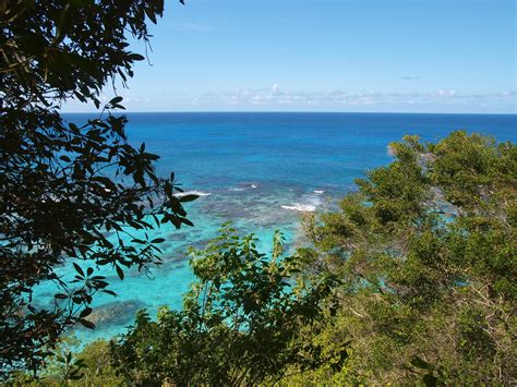 The Ultimate Guide To Isla De Mona The Galapagos Of The Caribbean