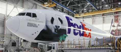 Dave Lange The Panda Master For Fedex