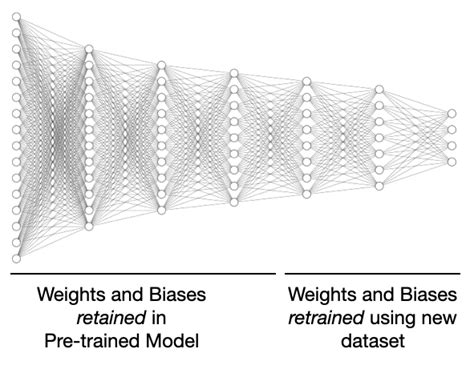 implementing deep learning using fastai image classification