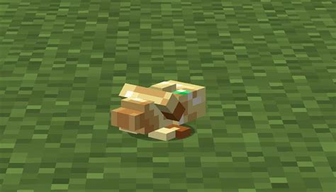 3d Totem Minecraft Texture Pack