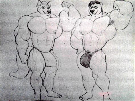 Rule 34 Abs Anthro Armpit Hair Bear Biceps Big Bulge Bulge Canine