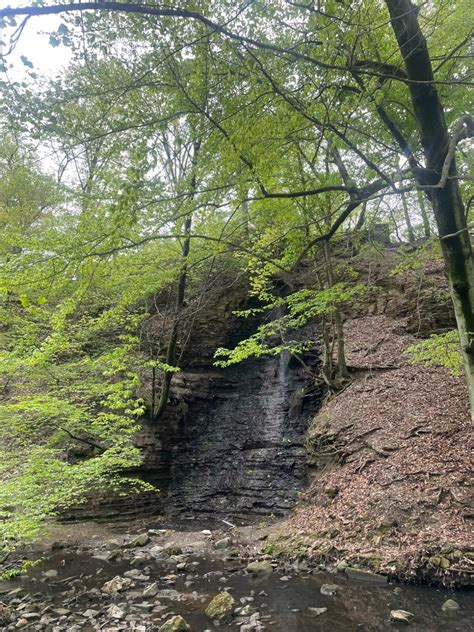 Another Reason Why I Love My Job A Citizen Brought Up An Issue Regarding… Stacey Buttel M A