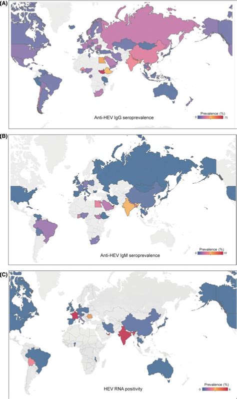 Distribution Of Hepatitis E Based On Igg Seroprevalence A Igm