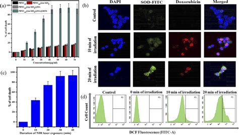 A Concentration Dependent Mtt Assay Plot After 24 H Incubation With