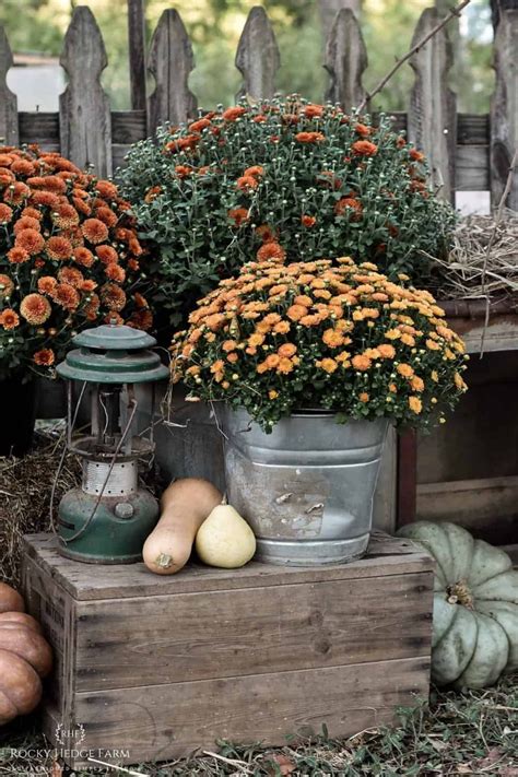 Diy Outdoor Fall Yard Decor Ideas