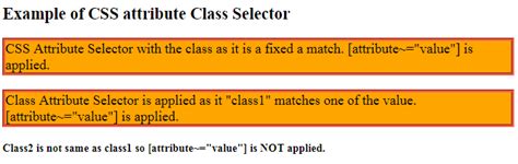 Css Attribute Selector — Tutorialbrain