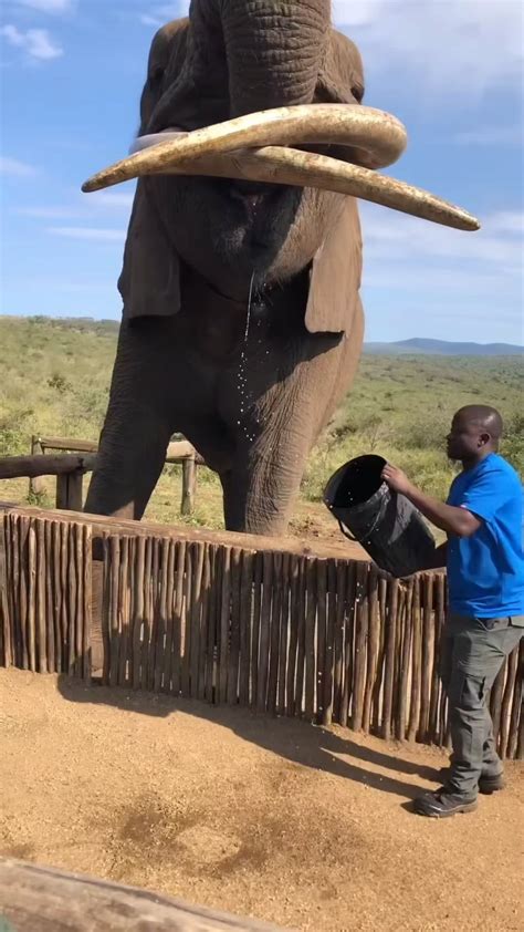 Biggest Ive Ever Seen R Absoluteunits