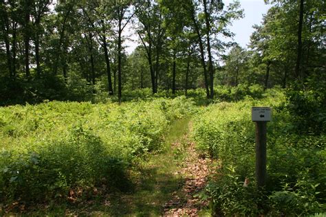Kitty Todd Nature Preserve 15 Miles D160 Dwhike