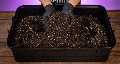 North Spore Cvg Sterile Bulk Substrate For Mushrooms 1