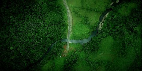 Sandra Megens On Linkedin Working On My Last Ph D Reflections