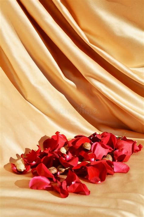 Celebrating The Passing Background Stock Image Image Of Lover Friend 83020693 Celebrating The Passing Background Stock Image Image Of Lover Friend 83020693