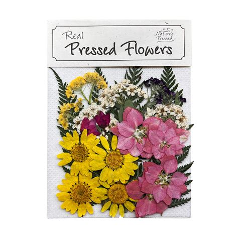 Springtime Large Natures Pressed