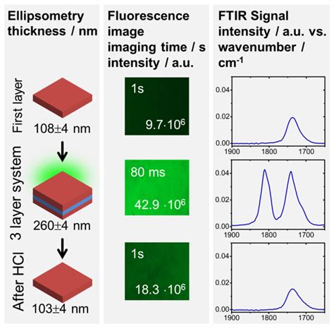 Towards Self Regenerating Antimicrobial Polymer Surfaces Abstract Europe Pmc