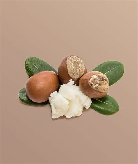 Bio Color Protect Bioclin