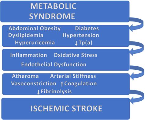 Stroke In The Patient With Diabetes Part 1 Epidemiology Etiology