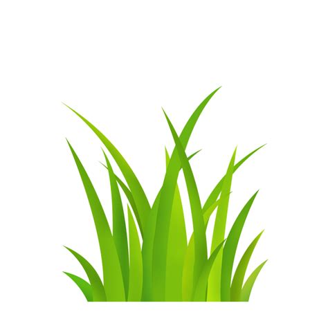 Damo Clipart