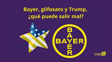 Sierra Norte Libre De Transgénicos Bayer Retirará El Glifosato Si No Paran Los Juicios Por El