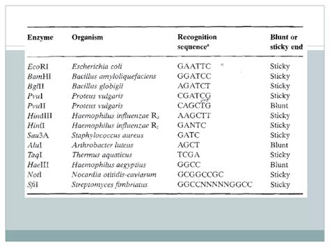 Restriction Modification System Types Of Restriction Enzymes Pptx