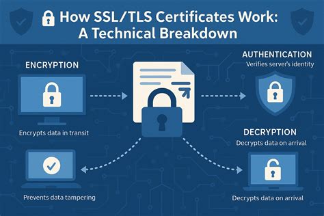 infosec4tc 🔒 ever wondered how your data stays secure online here s