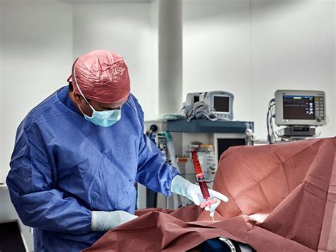 Bone Marrow Transplant