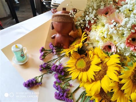 5 Tips Fotografi Pakai Kamera Smartphone Xiaomi Redmi Note 6 Pro Kumparan Com