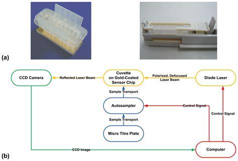 Sensors Free Full Text Detection Of Salmonella By Surface Plasmon Resonance