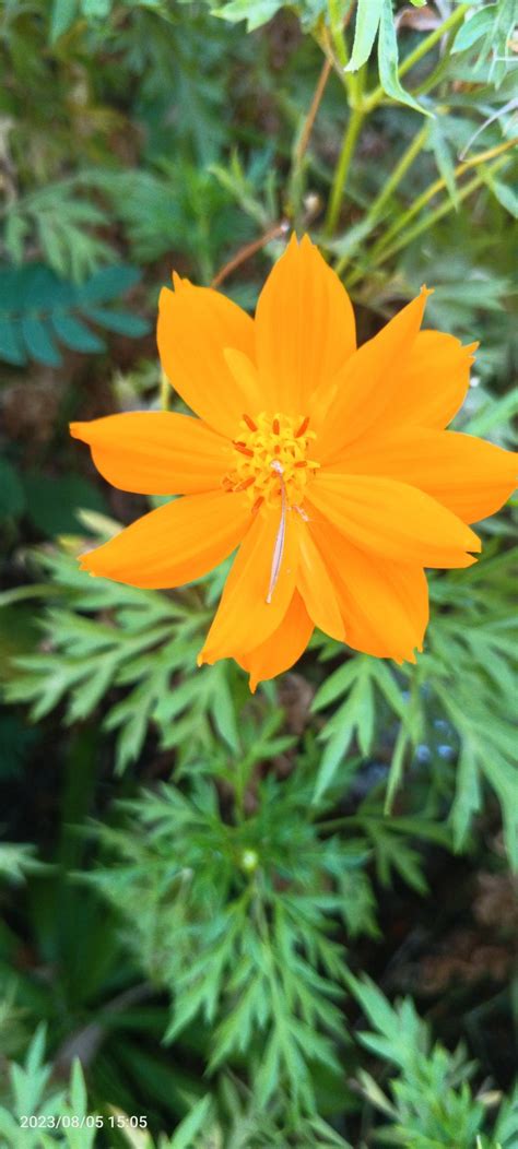 Muthu Kannan On Linkedin Photography Interest