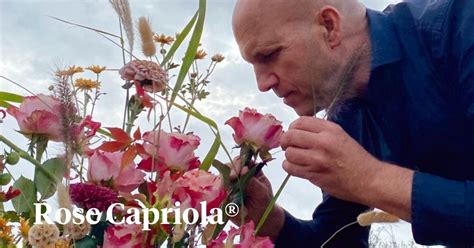 Rose Capriola From Famous Breeder De Ruiter