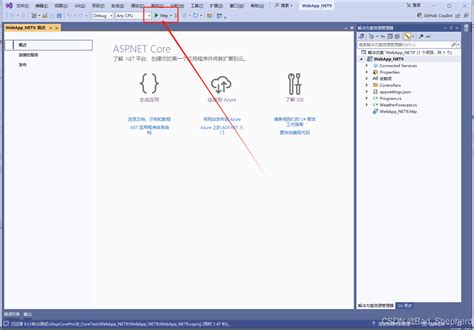 Asp Net Core 学习 （net 9） 创建 Api项目，并配置swagger及api 分组或版本net 9 Core Api