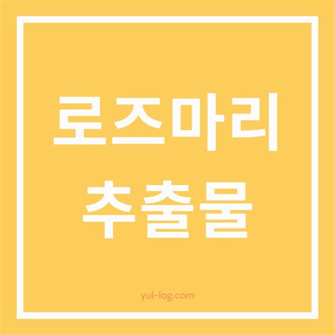 로즈마리 추출물 효과와 활용법 총정리