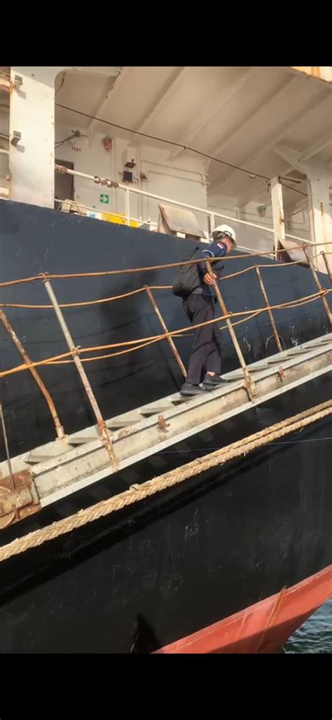 05 Januari 2024 Maritime Bussines Keagenan Kapal Mv Ocean Glory